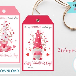Valentine Gnome Gift Tags, Boy & Girl Gnome Valentine Bag Topper, Kids ...