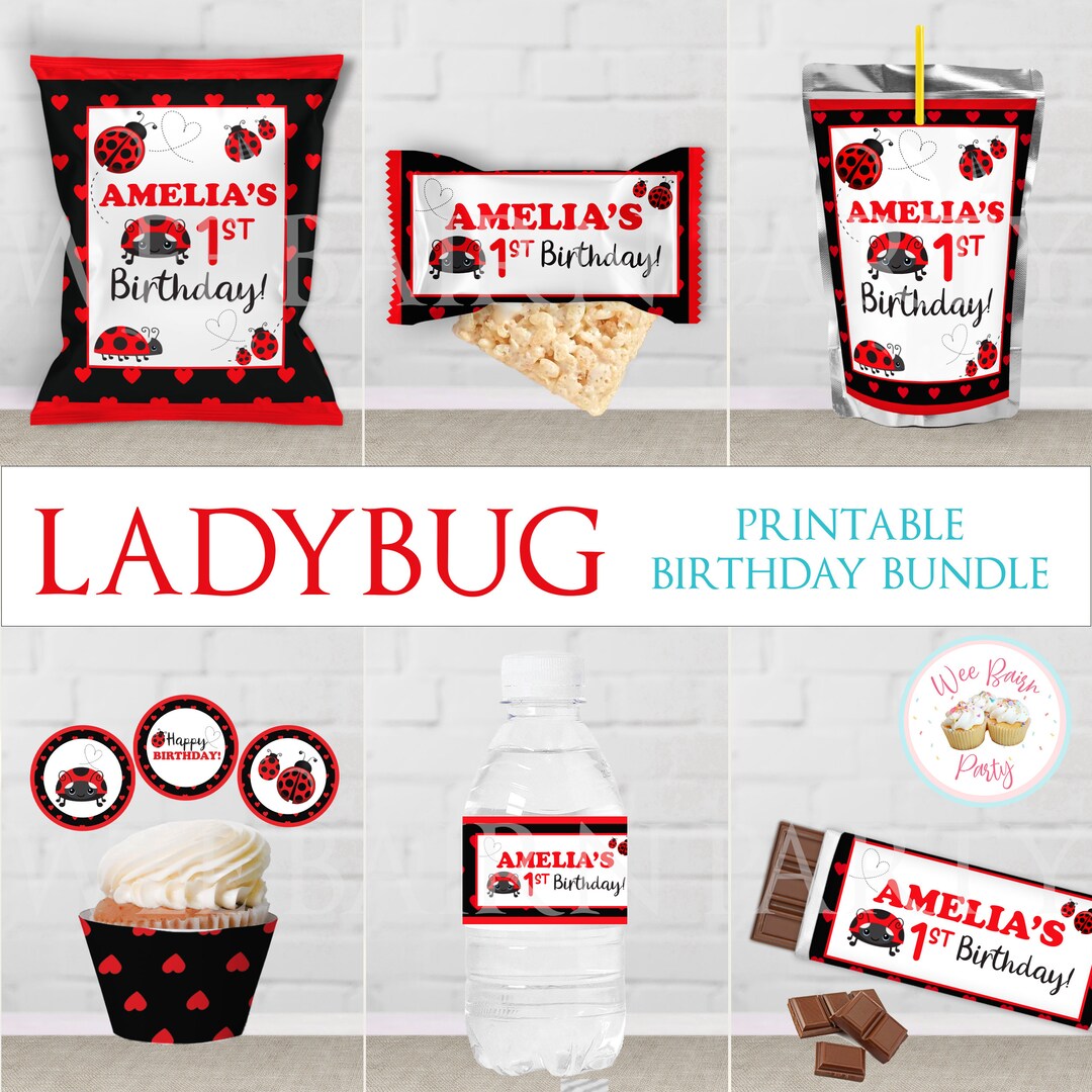 Ladybug Birthday Custom Party Favors Bundle Baby First - Etsy