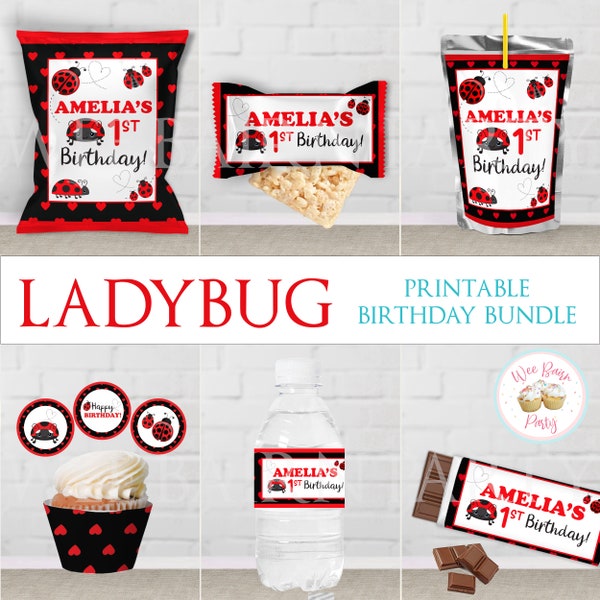 Ladybug 1st Birthday - Etsy