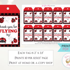 Ladybug Birthday Party Favor Thank You Tags Bug Birthday Party Favor ...