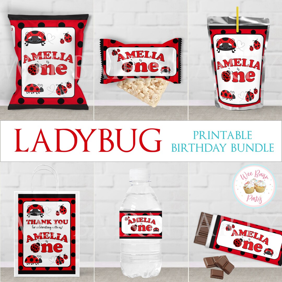 Ladybug Birthday Custom Party Favors Bundle, Baby First Birthday Girl ...