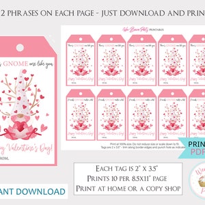 Valentine Gnome Gift Tags, Boy & Girl Gnome Valentine Bag Topper, Kids ...