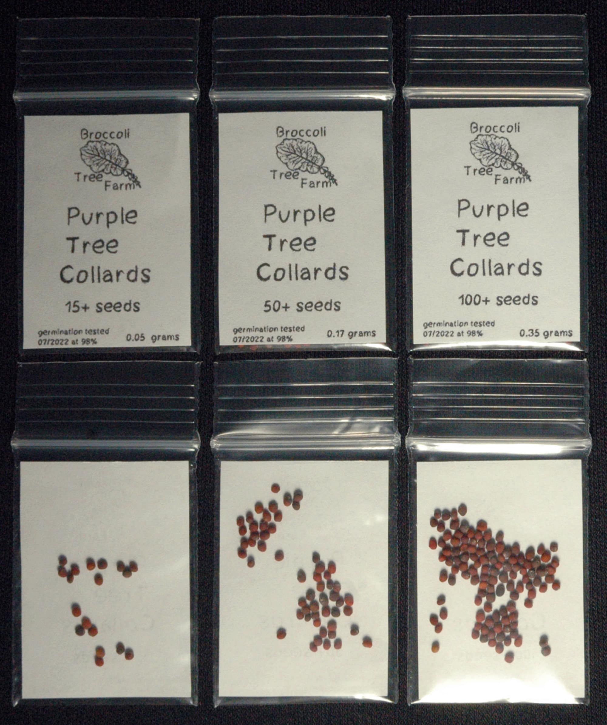 Purple Tree Collard Seeds 15/50/100 Seeds Organic Kale - Etsy