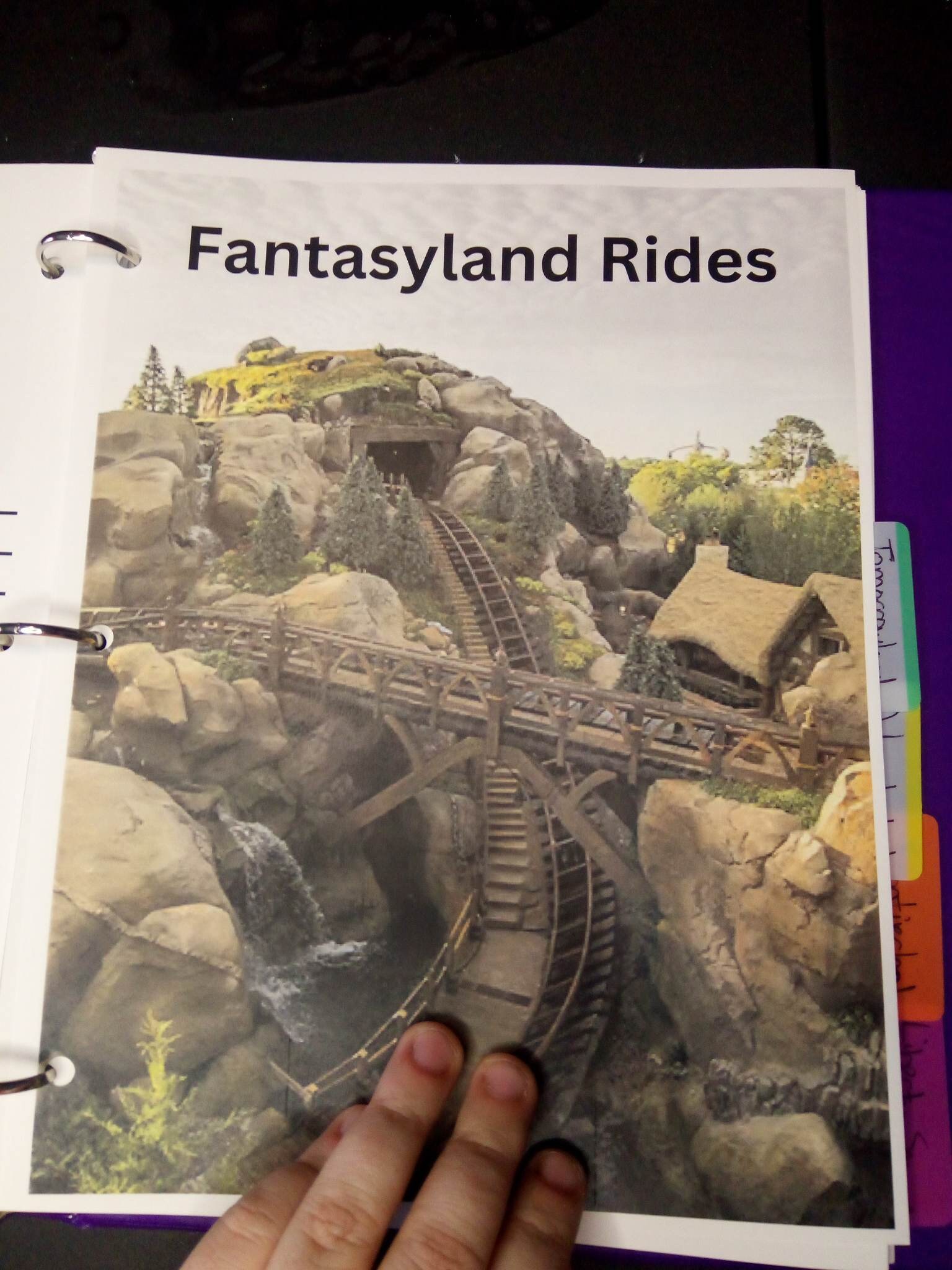 Disney Adventure Book/ Magic Kingdom Photo Album/ Scavenger Hunt - Etsy