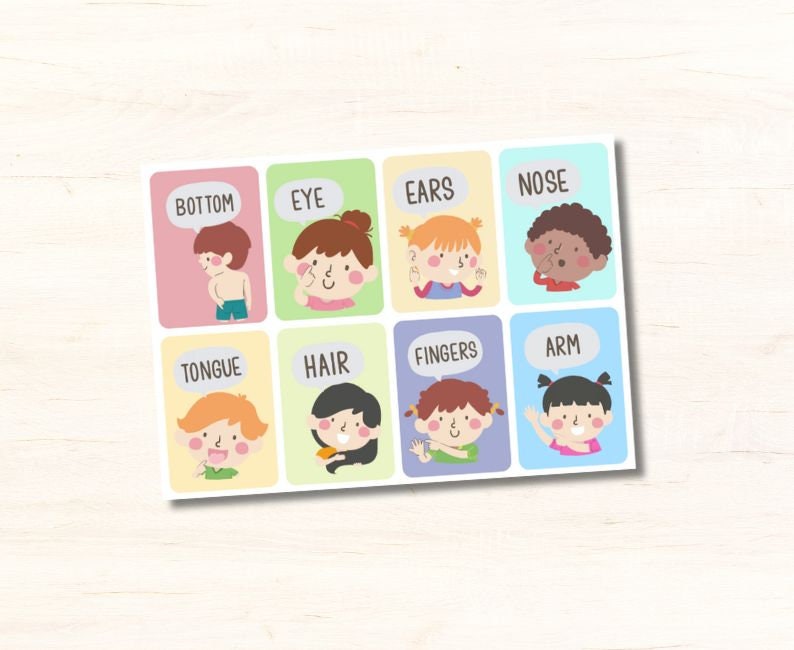 20 Human Body Parts Flashcards, Montessori Flashcards, Preschool ...