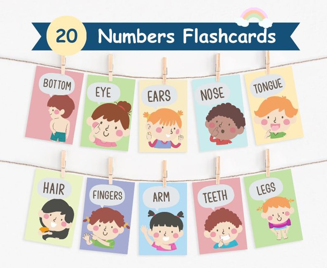 20 Human Body Parts Flashcards, Montessori Flashcards, Preschool ...