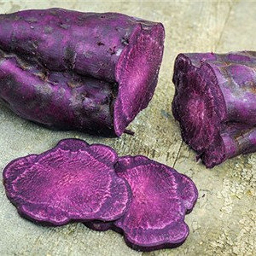 Molokai Purple Sweet Potato 6 Slips - Etsy