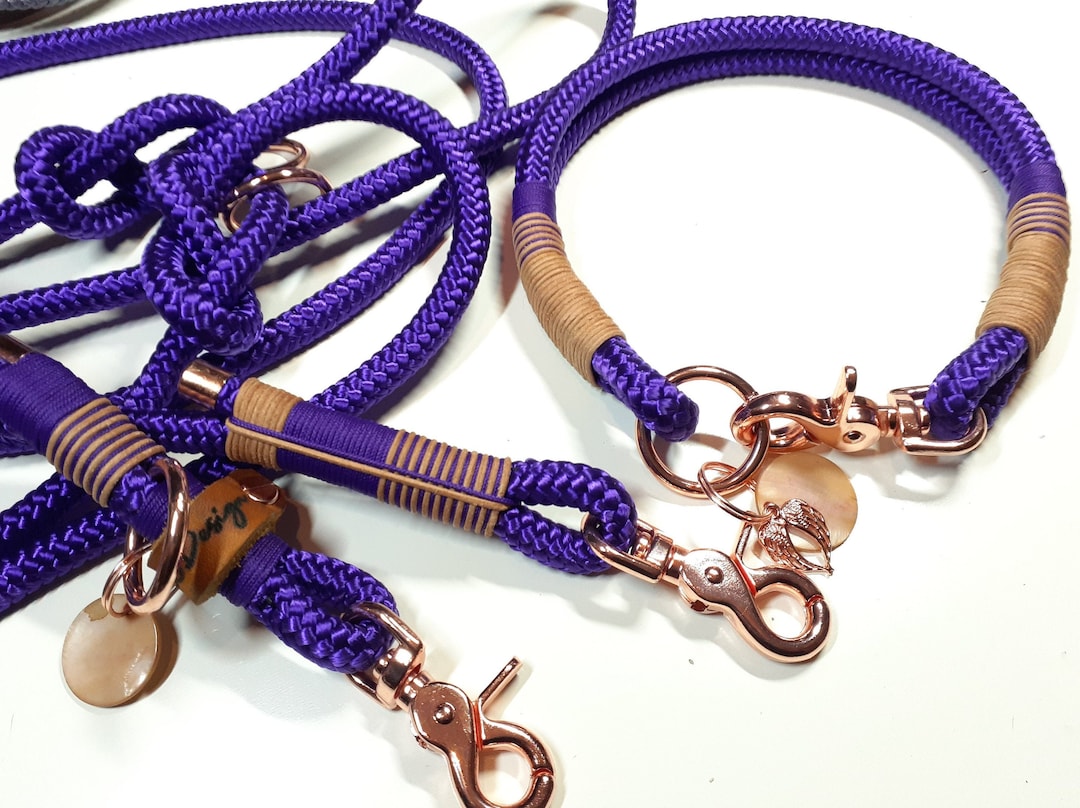 Dog Collar With Snap Fastener | Dog Leash 2.5 M in Purple | Shoulder ...
