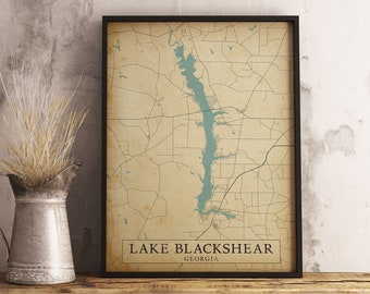 Blackshear Lake Map - Etsy