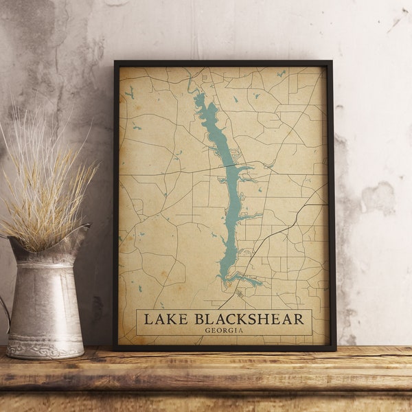Lake Blackshear Map Art - Etsy