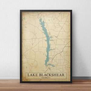 Vintage Style Map of Lake Blackshear Georgia USA Instant - Etsy