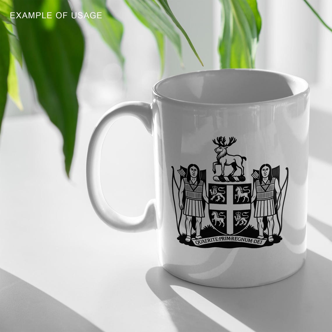 Newfoundland and Labrador Coat Arms Vector Clipart (SVG, PNG, PDF ...