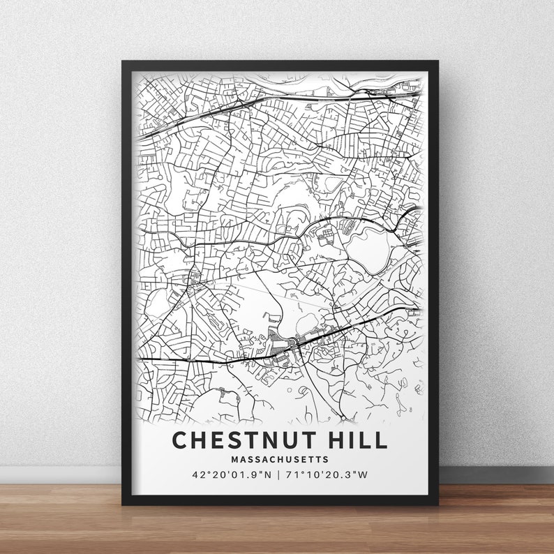 Chestnut Hill Massachusetts Map With Street Names, Printable ...