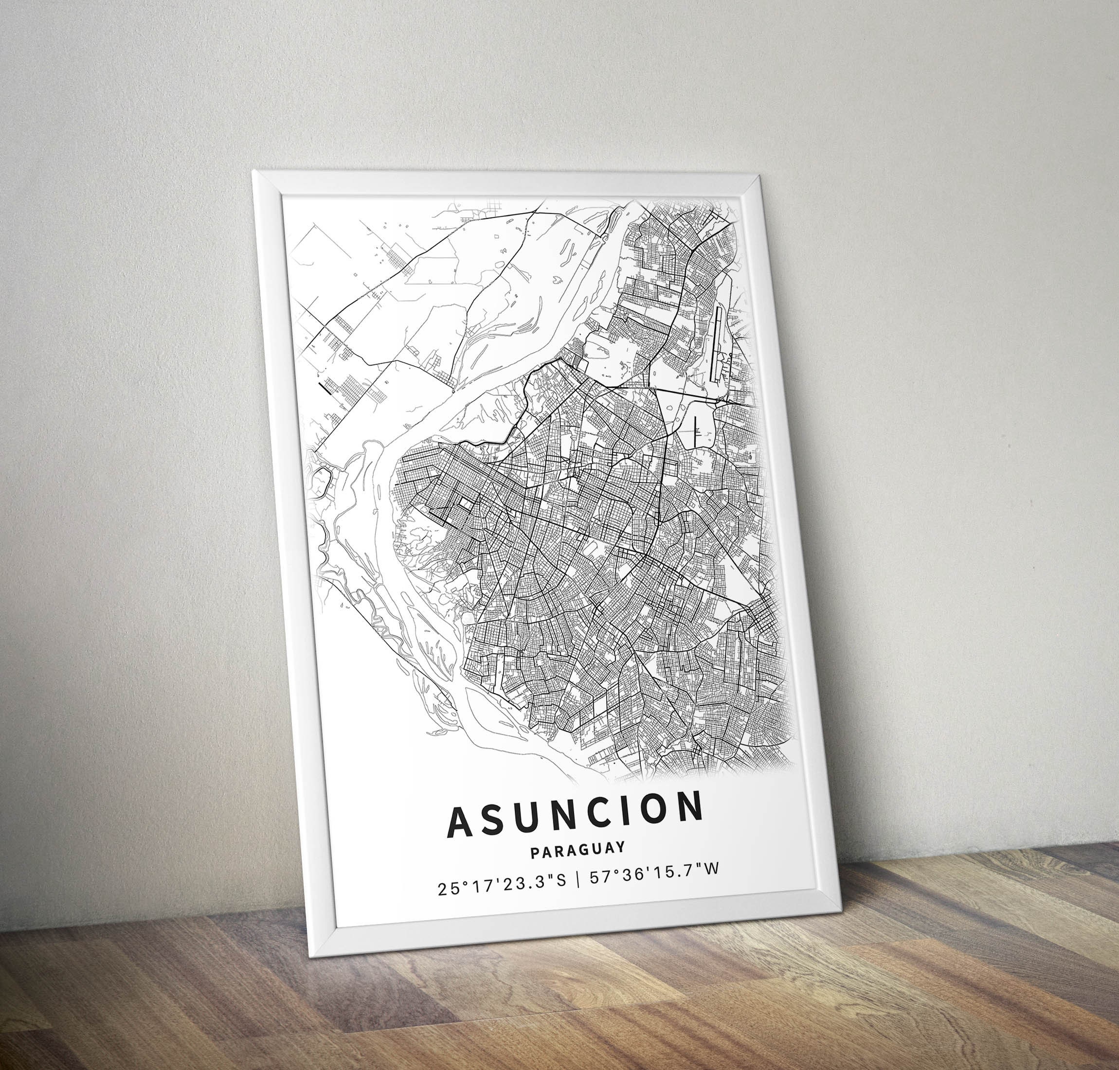 Printable Map of Asuncion, Paraguay With Street Names - Instant ...
