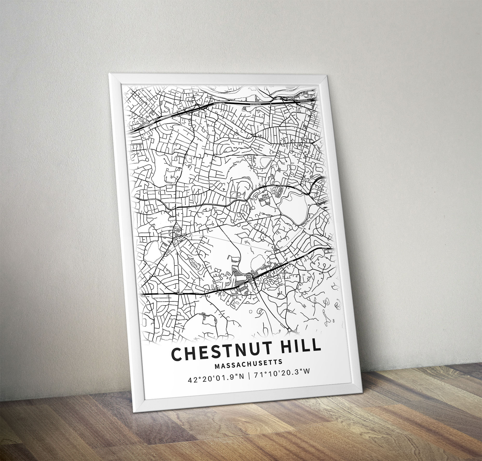 Chestnut Hill Massachusetts Map With Street Names, Printable ...