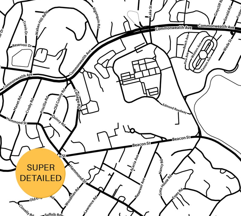 Chestnut Hill Massachusetts Map With Street Names, Printable ...