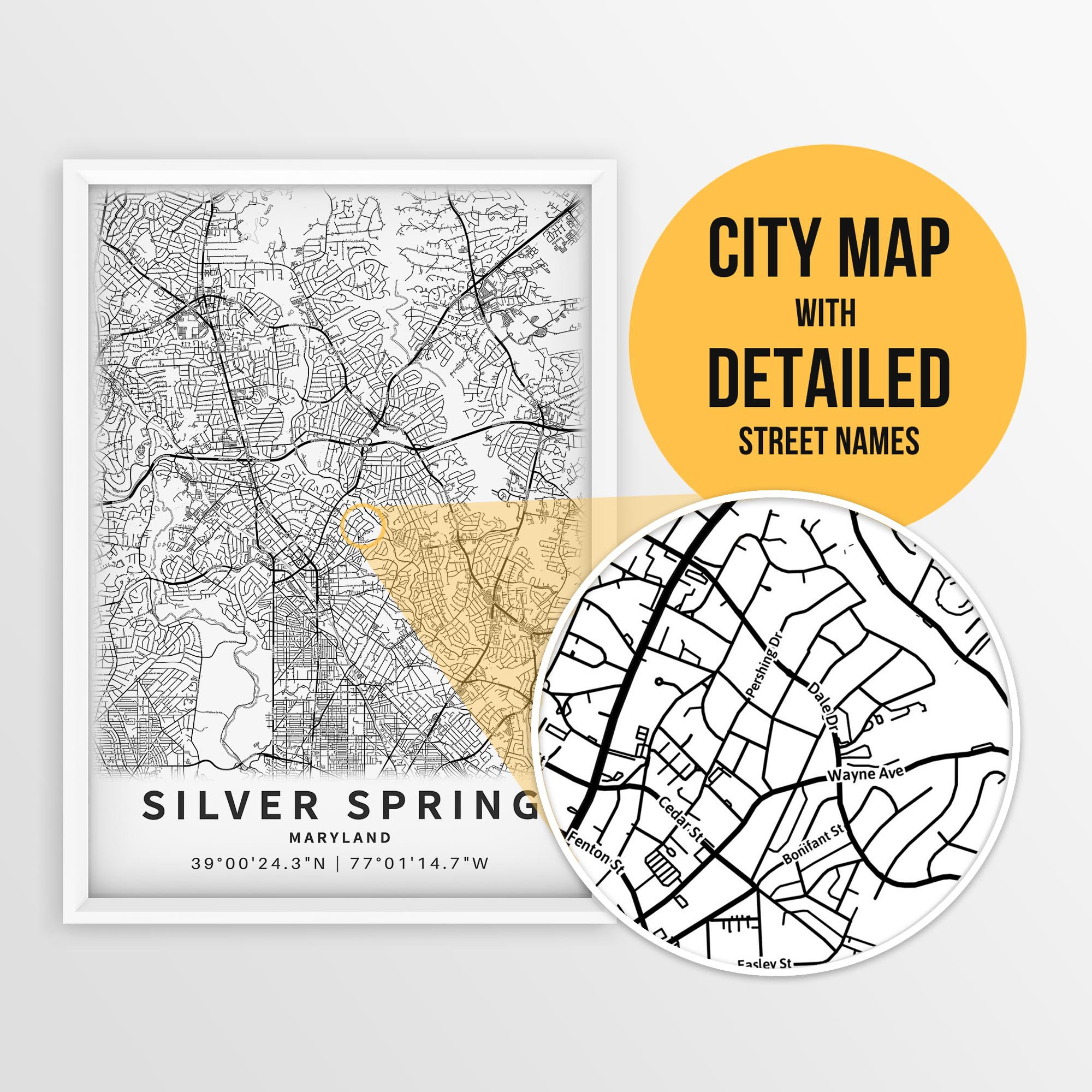 Silver Spring Borders