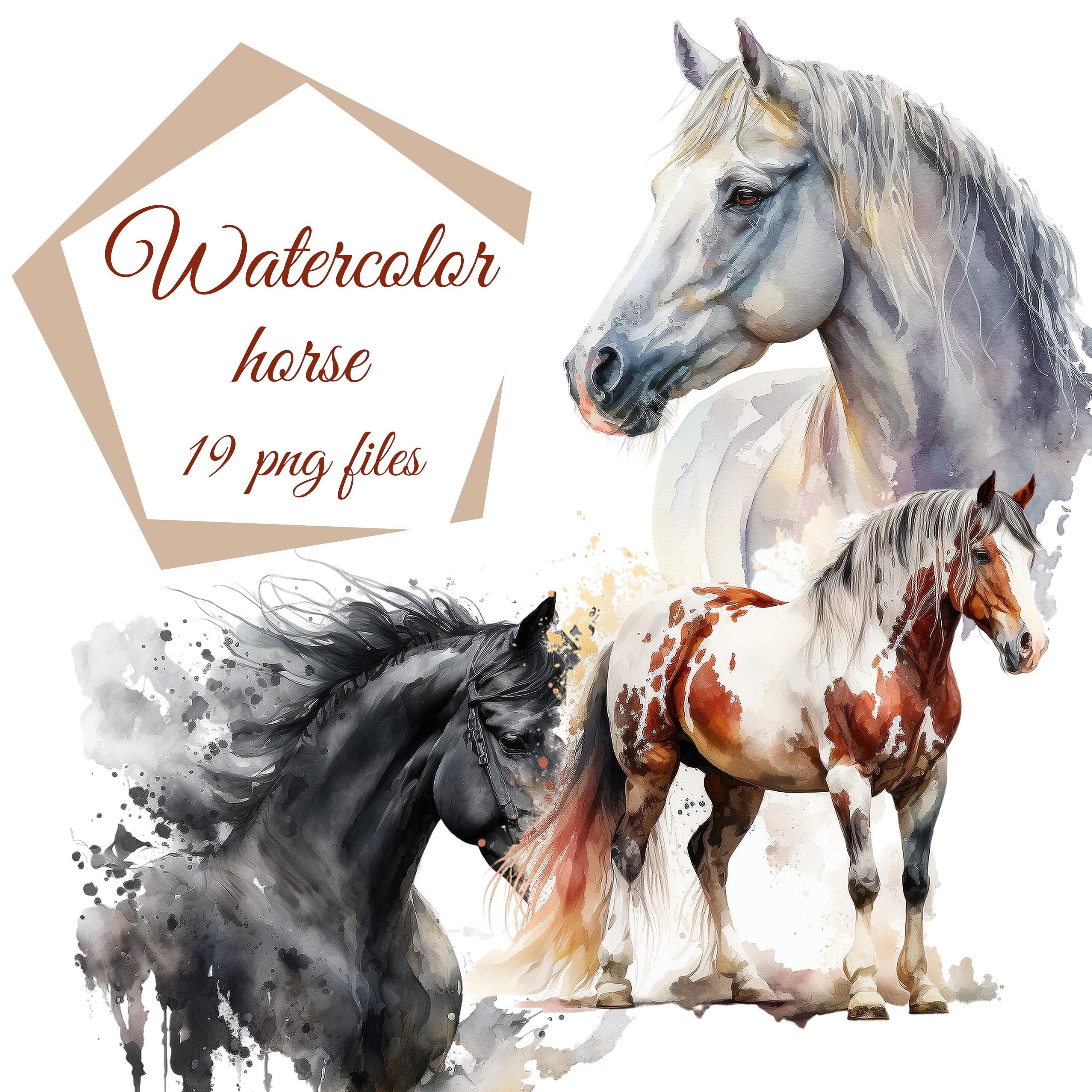 Watercolor Horses Clipart, Horse Illustration, Watercolor Clipart ...