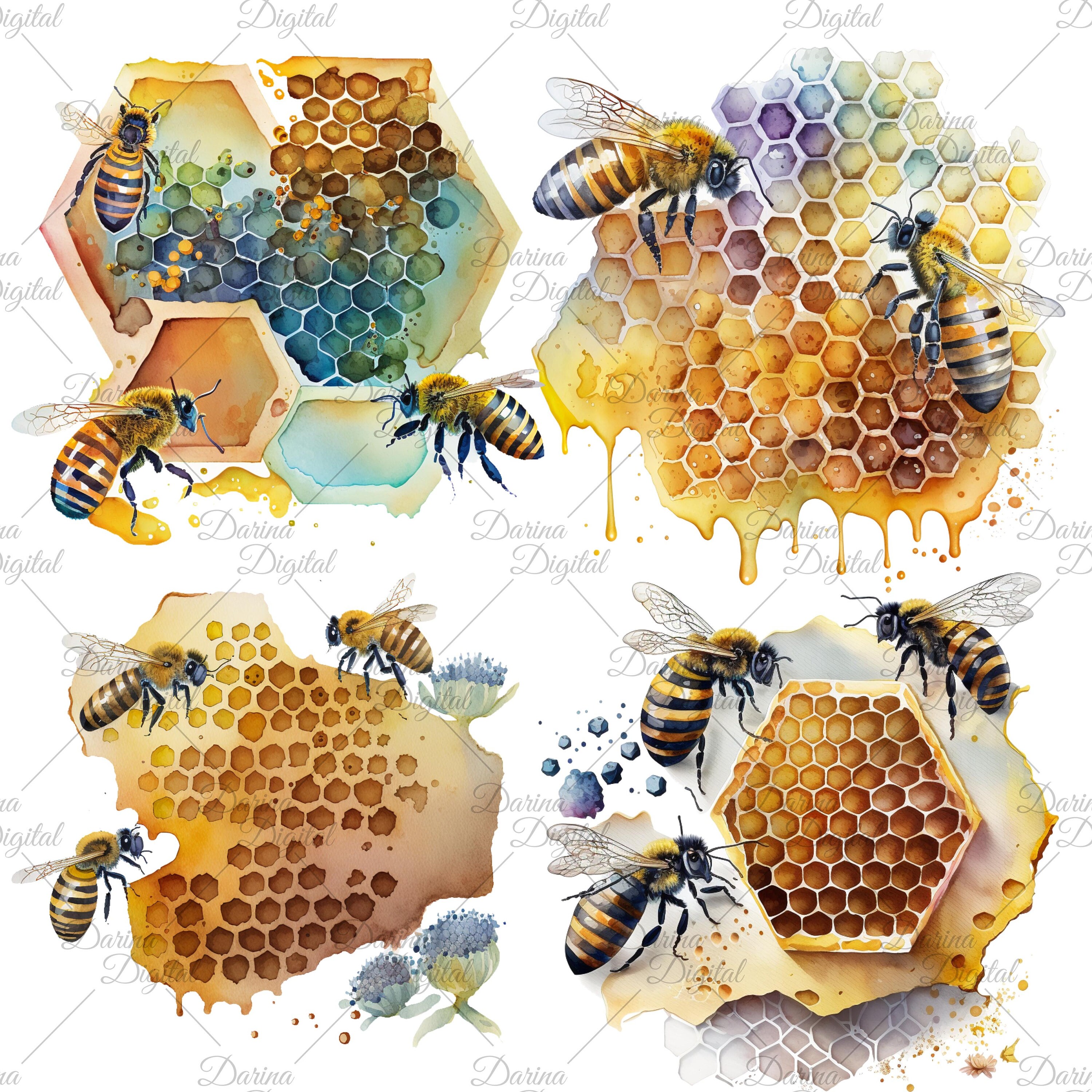 Watercolor Bee Clipart, Watercolor Bee, Watercolor Clipart, Bee ...