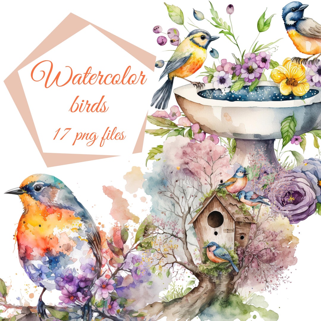 Birds Clipart, Watercolor Birds, Bird House Clipart, Spring Clipart ...