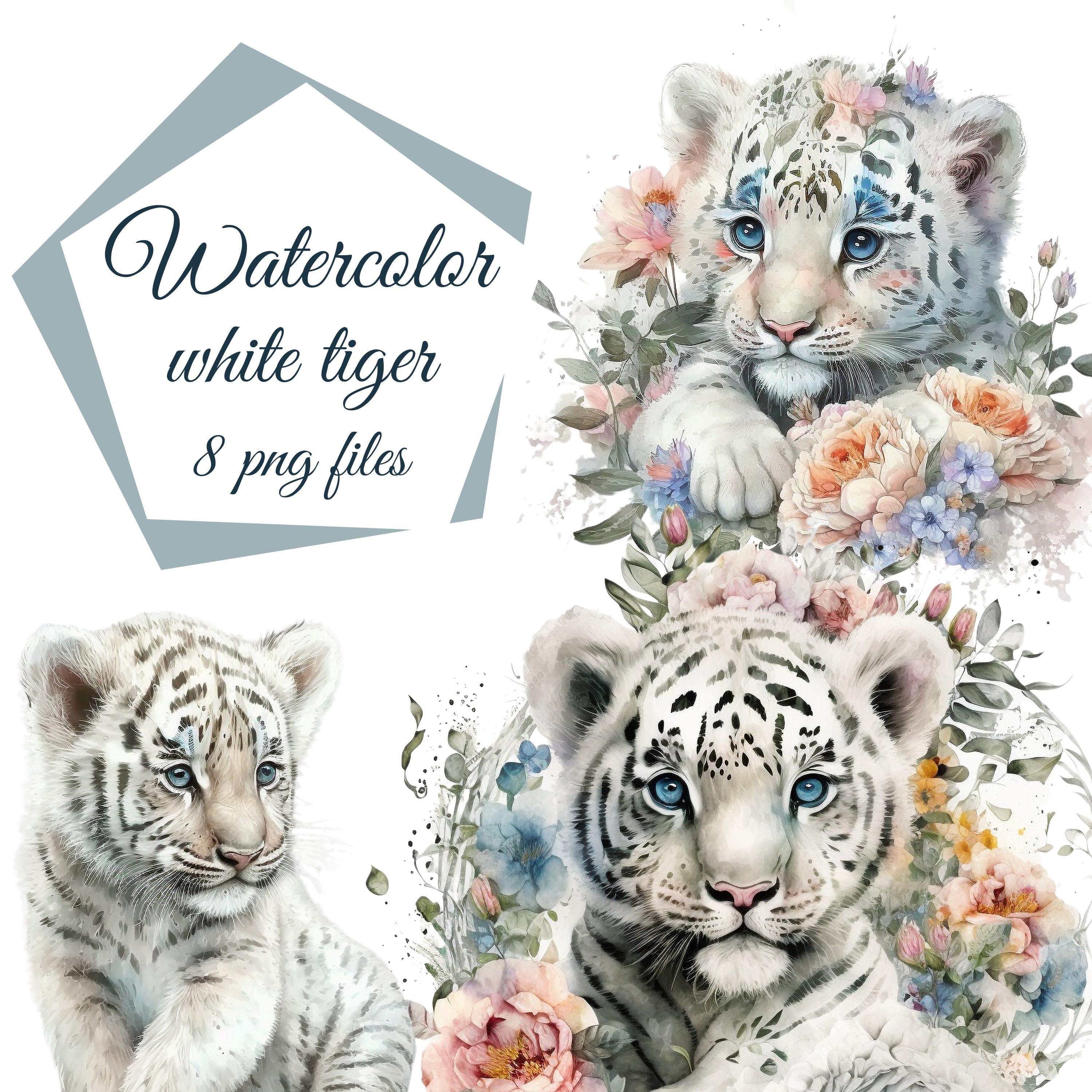 Baby White Tiger Clipart