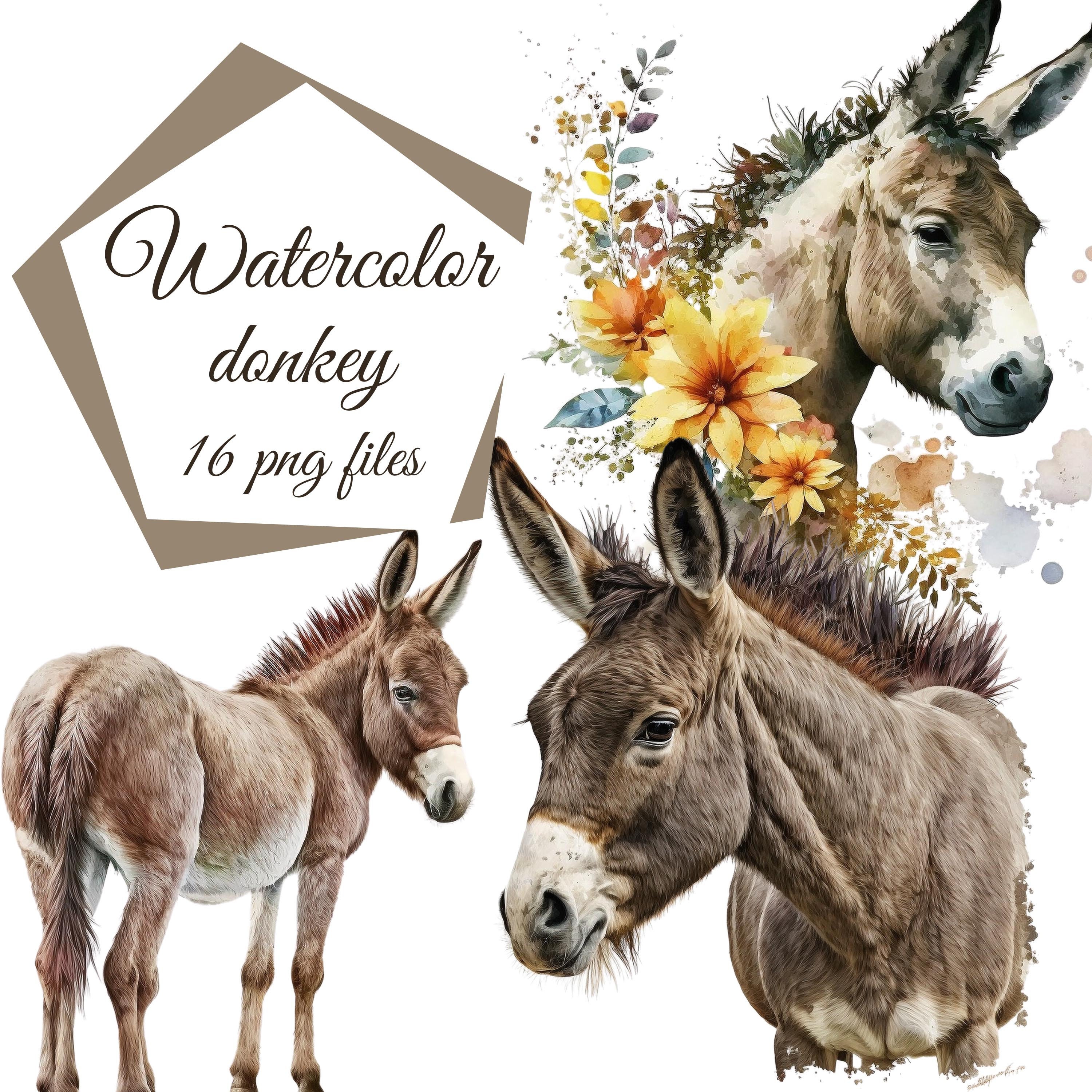 Watercolor Donkey Clipart, Donkey Illustration, Cute Donkey, Donkey and Flowers, Sticker Design ...