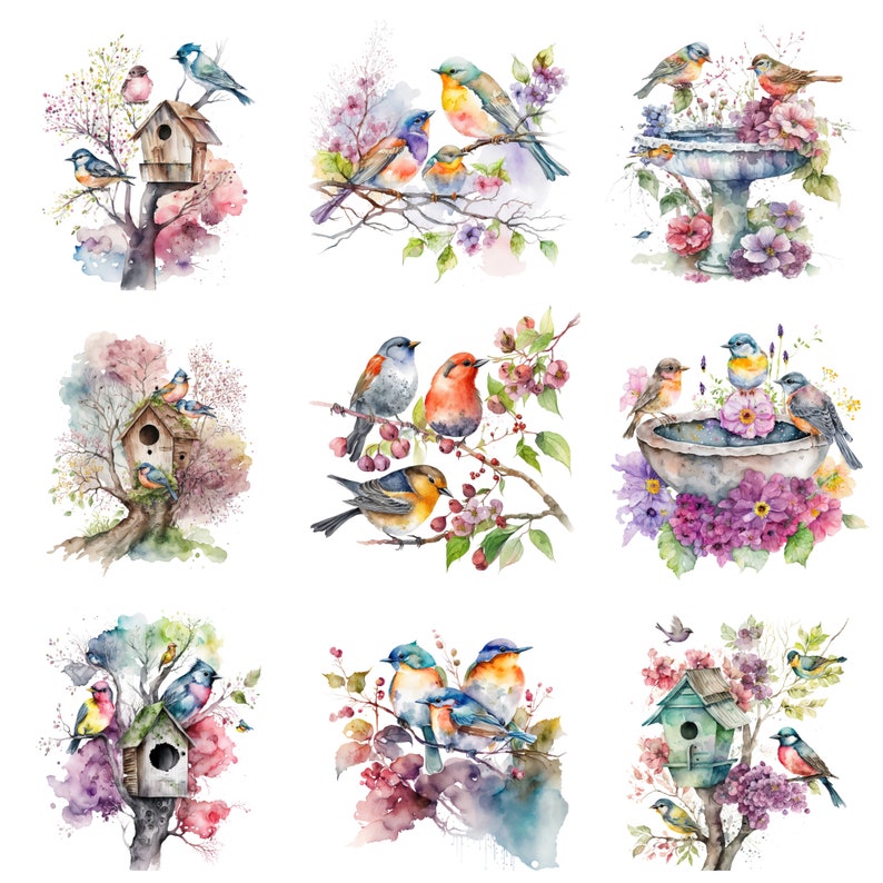 Birds Clipart Watercolor Birds Bird House Clipart Spring - Etsy