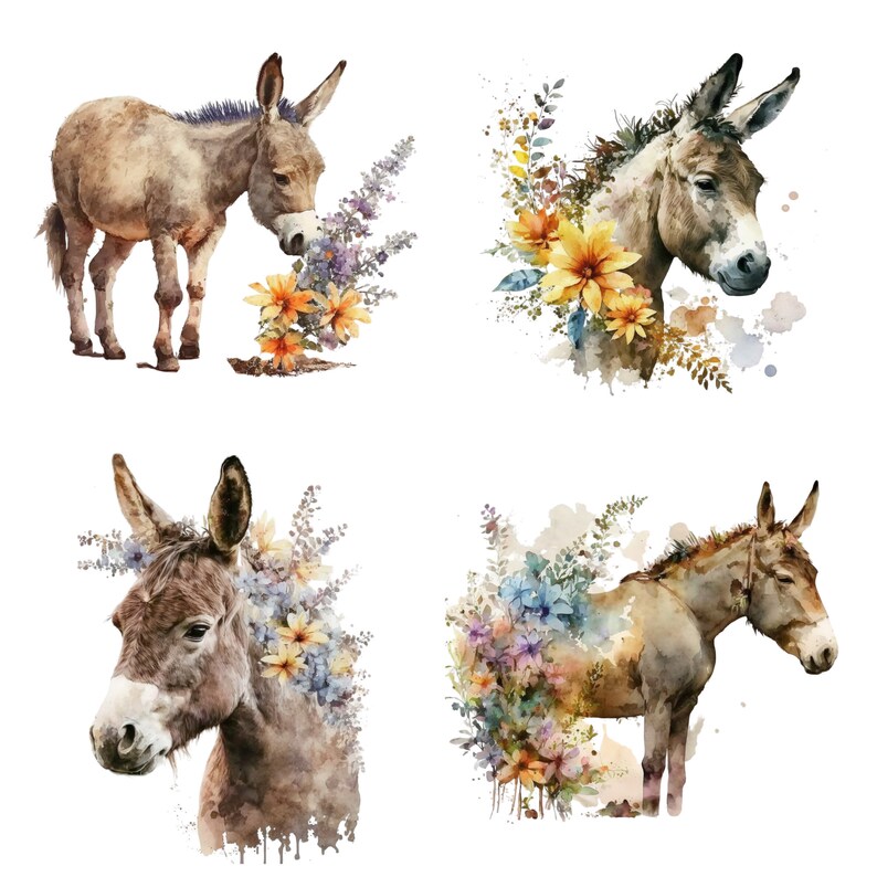 Watercolor Donkey Clipart, Donkey Illustration, Cute Donkey, Donkey and ...
