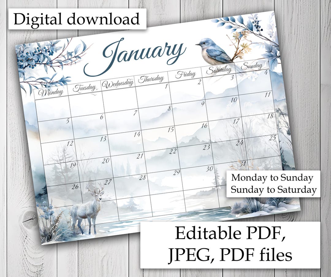 EDITABLE January 2026 Calendar, Christmas Calendar, Fillable Calendar ...