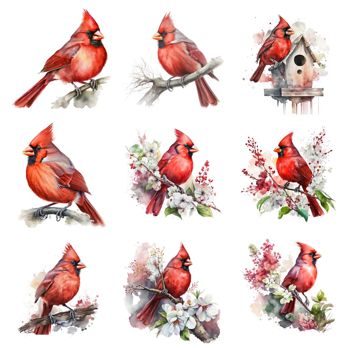 Red Cardinal Clipart, Bird Clipart, Red Cardinal Bird, Spring Bird ...
