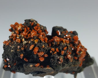 Vanadinite Crystals From Codia Mining 3.5x3x2 Cm, Mibladen, Morocco - Etsy