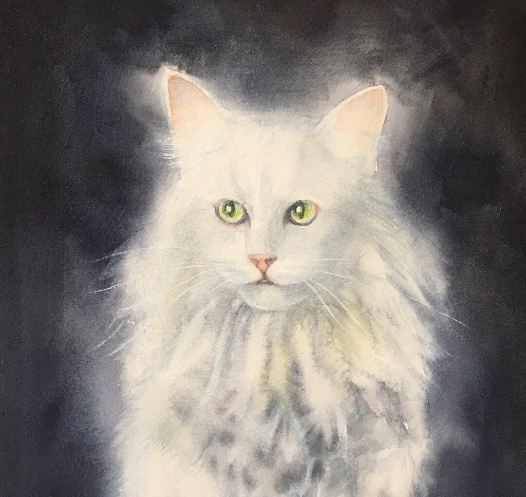 White Cat Hand Painted Watercolor ORIGINAL, White Cat Painting, Fluffy ...