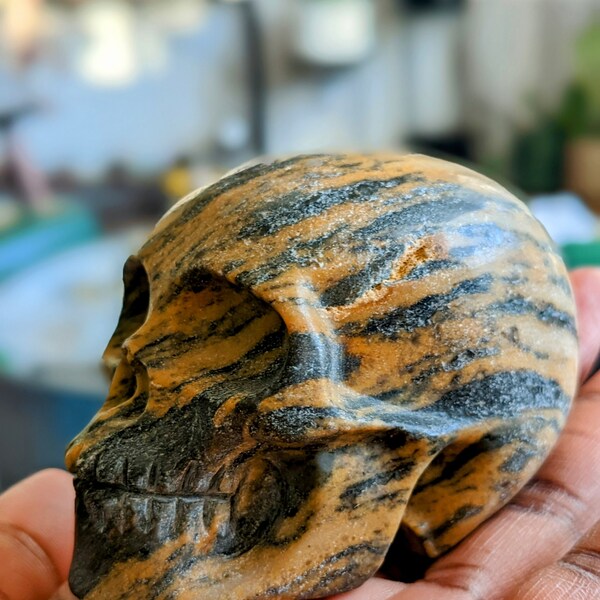 Tiger Skin Jasper - Etsy