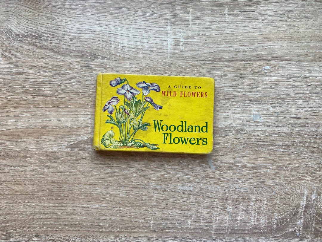 A Guide to Wild Flowers Woodland Flowers - Whitman Publishing Flower ...