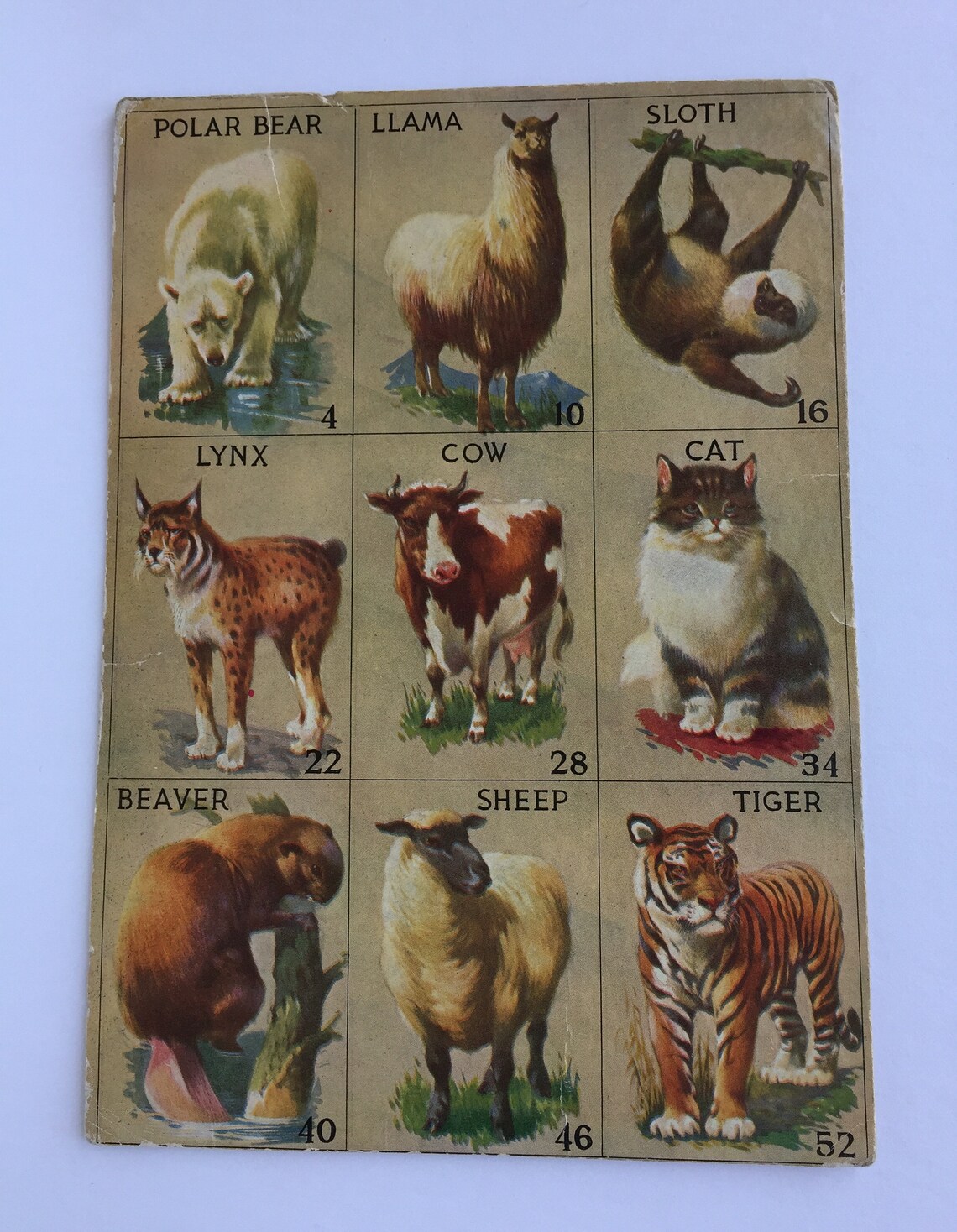 Vintage Wild Animals Lotto Board - Etsy