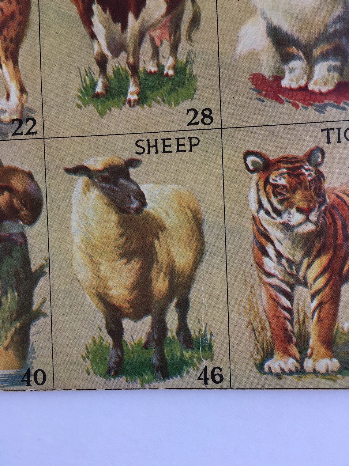 Vintage Wild Animals Lotto Board - Etsy