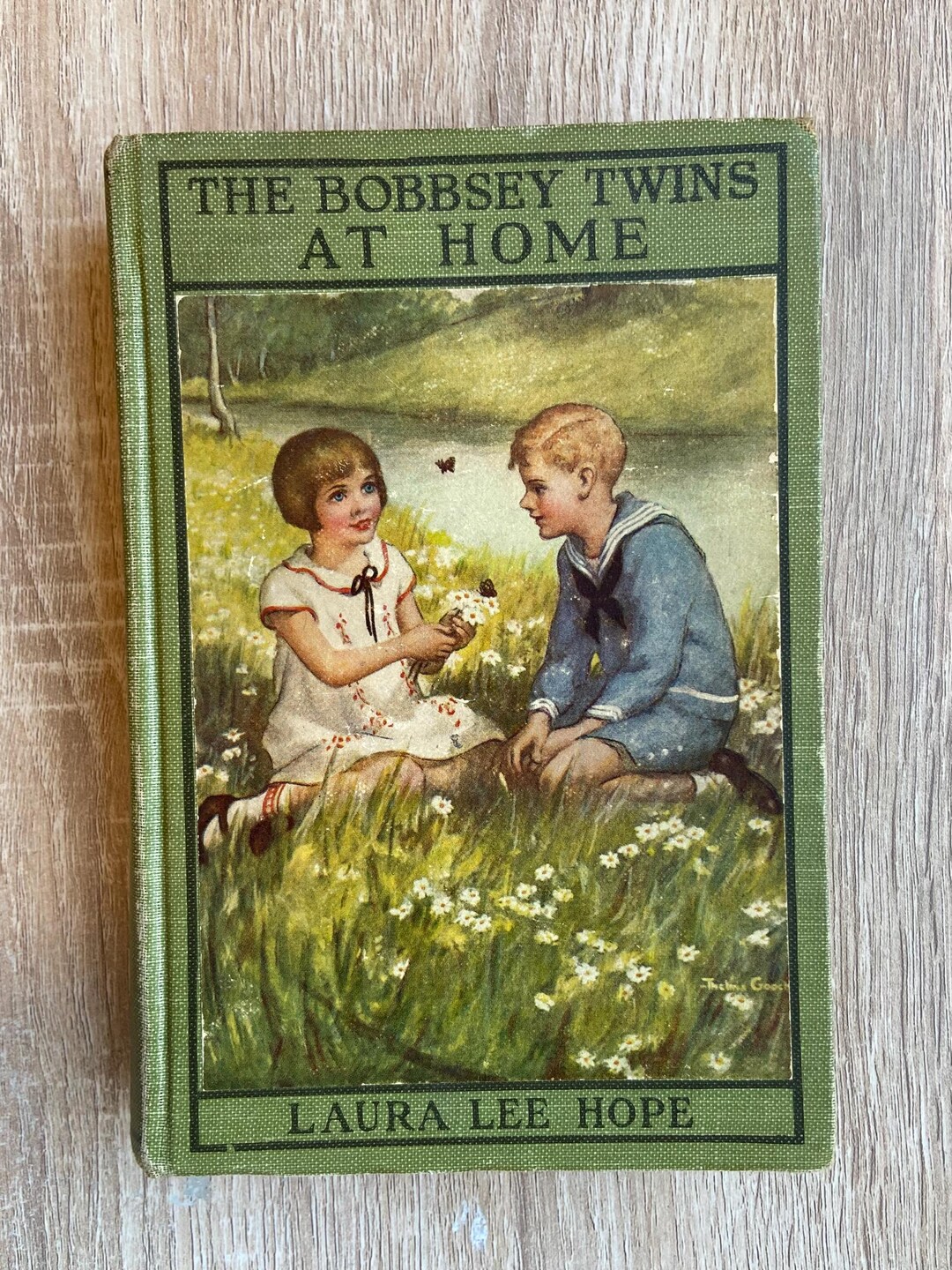 Vintage the Bobbsey Twins at Home - Laura Lee Hope - Classic Children's ...