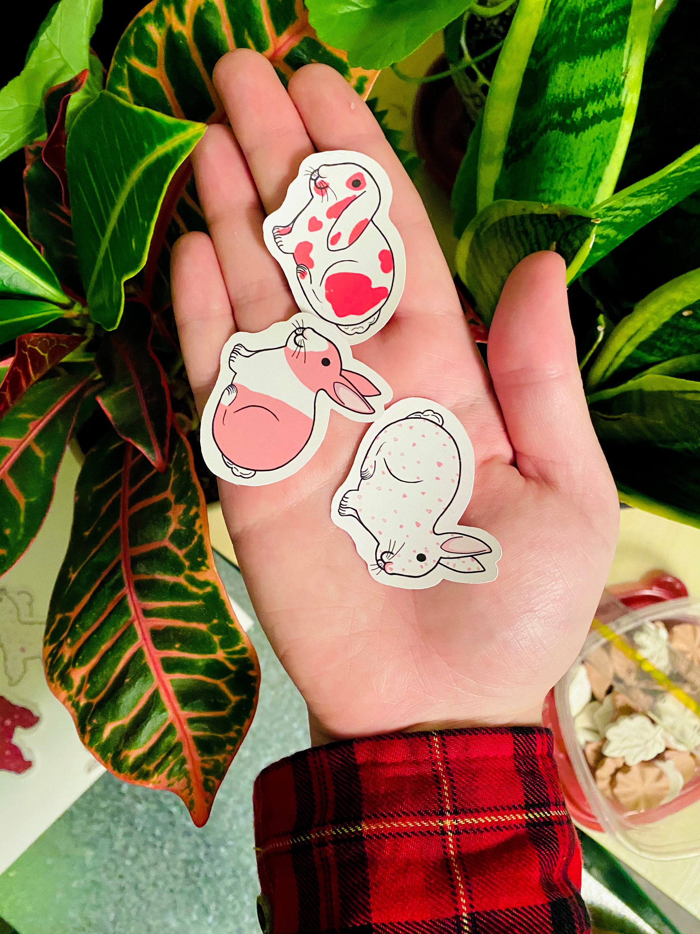 Valentines Rabbit Sticker Pack Galentines Gift for Her - Etsy