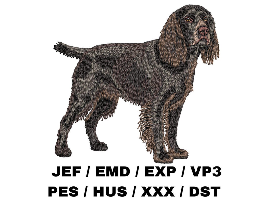 Boykin Spaniel - Full Body, Cute Animal, Fun Project, Realistic ...