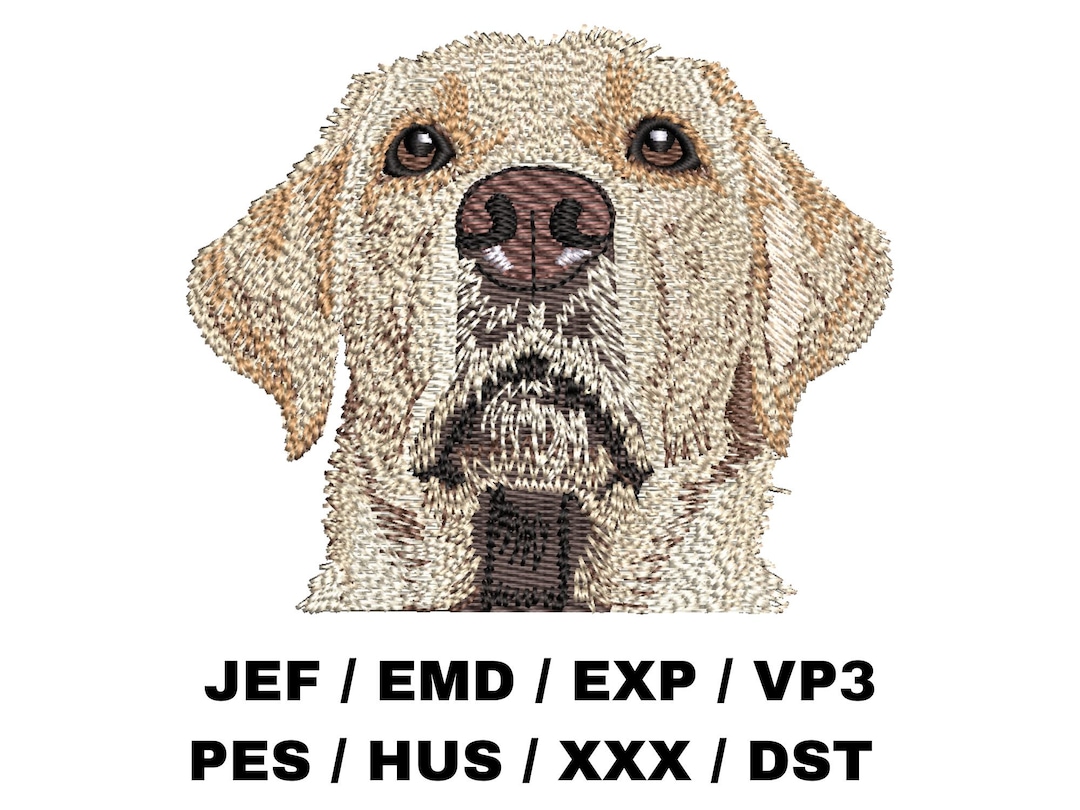 Labrador Retriever - Yellow Lab, Popular Breed, Dog Lovers Gift ...