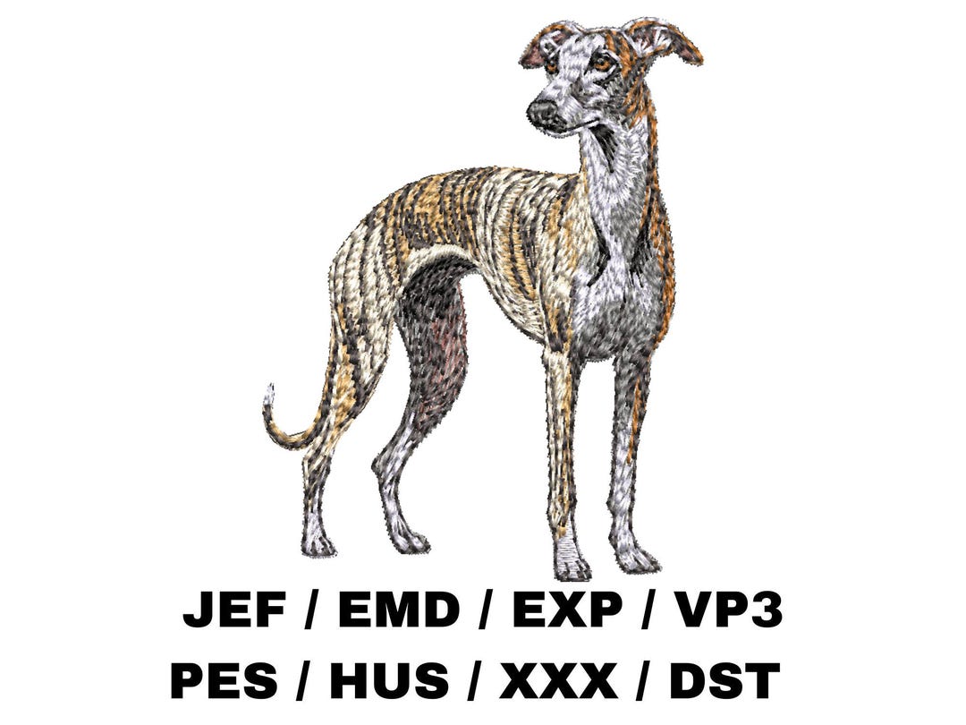 Whippet Full Body - Fun Project, Realistic Design, Cute Pattern, Dog ...