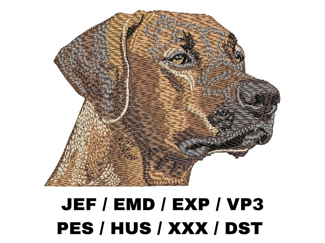 Rhodesian Ridgeback - African Lionhound, Lion Dog, Realistic Pet ...