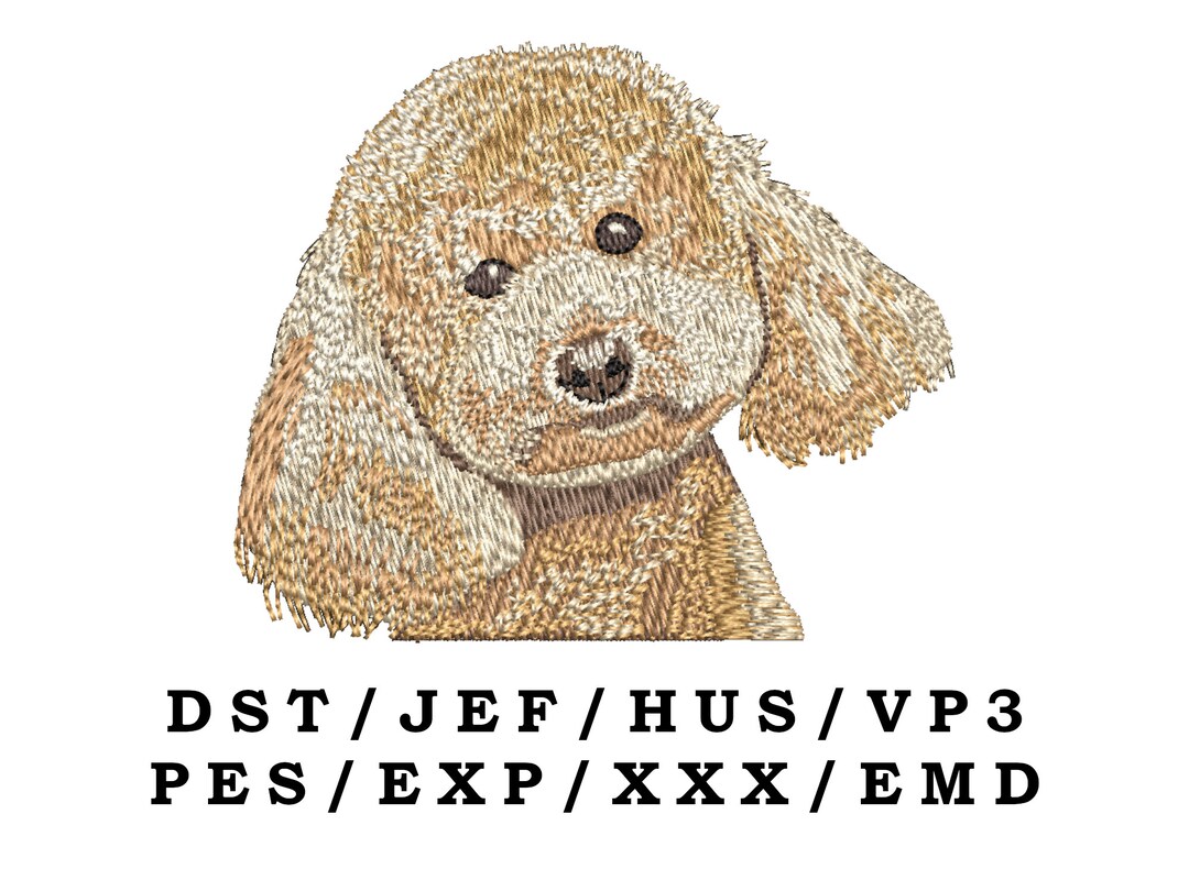 Apricot Poodle Embroidery File Poodle Gifts Dog Art - Etsy