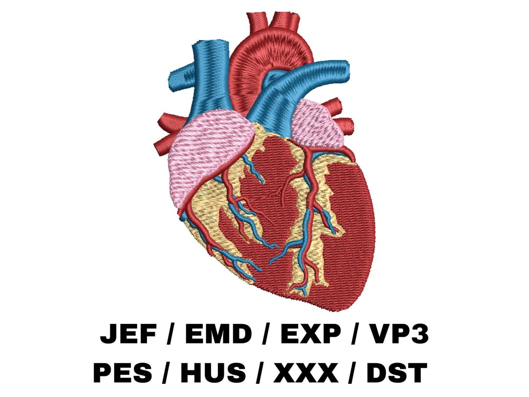 Human Heart - Anatomy Embroidery, Science and Medicine, DIY Gifts ...