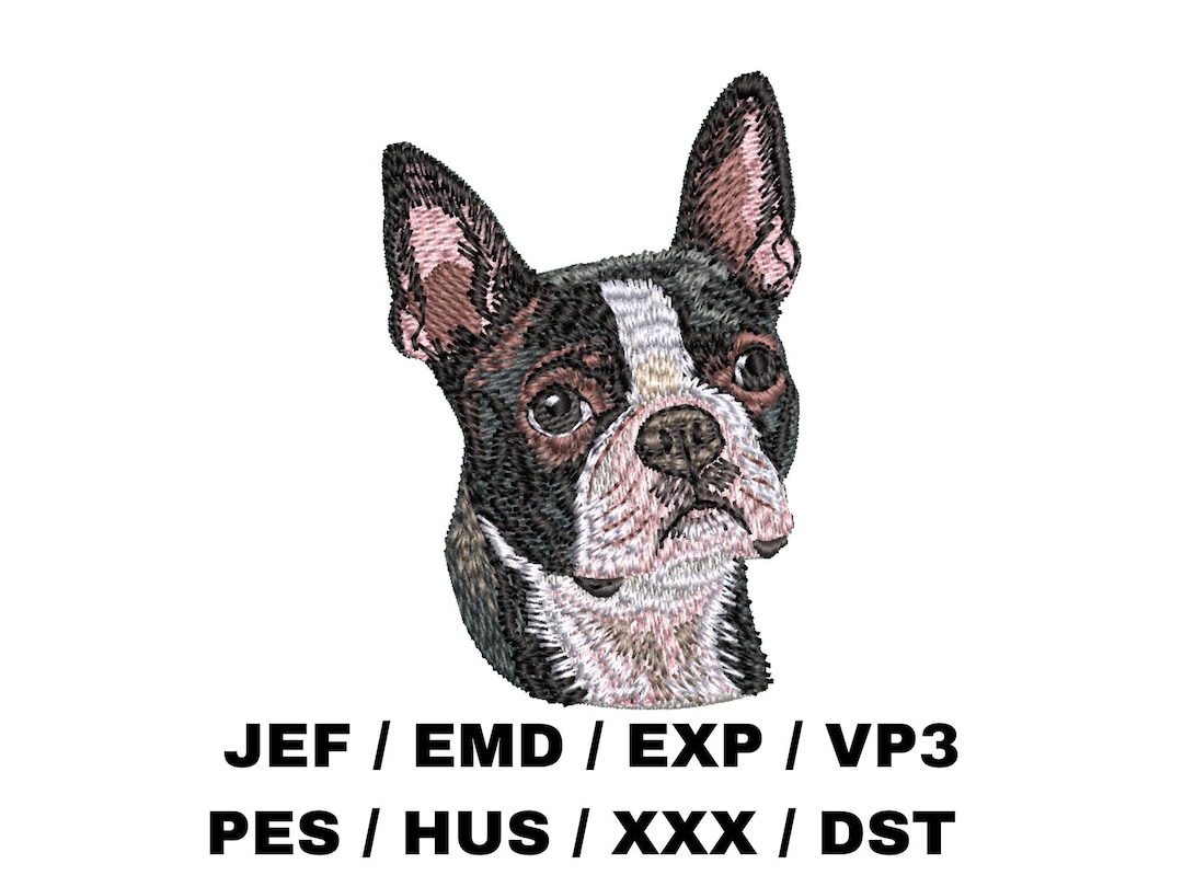 Boston Terrier, American Gentleman - Realistic Dog, Cute Portrait ...