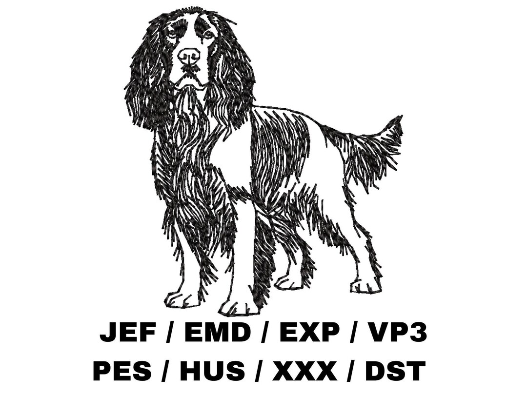 English Springer Spaniel Outline - Full Body, Pet Owner, Dog Lover ...