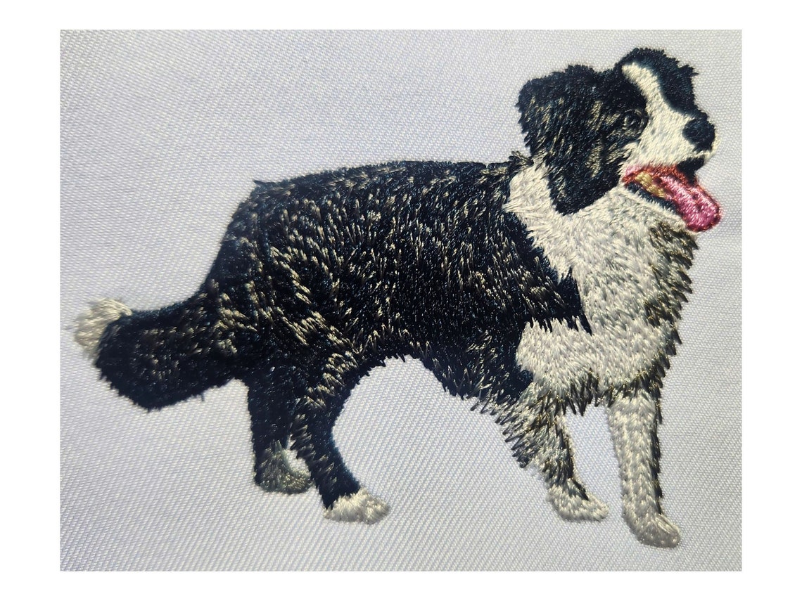 Border Collie - Full Body, Popular Breed, Dog Lover, Pet Owner, DIY ...