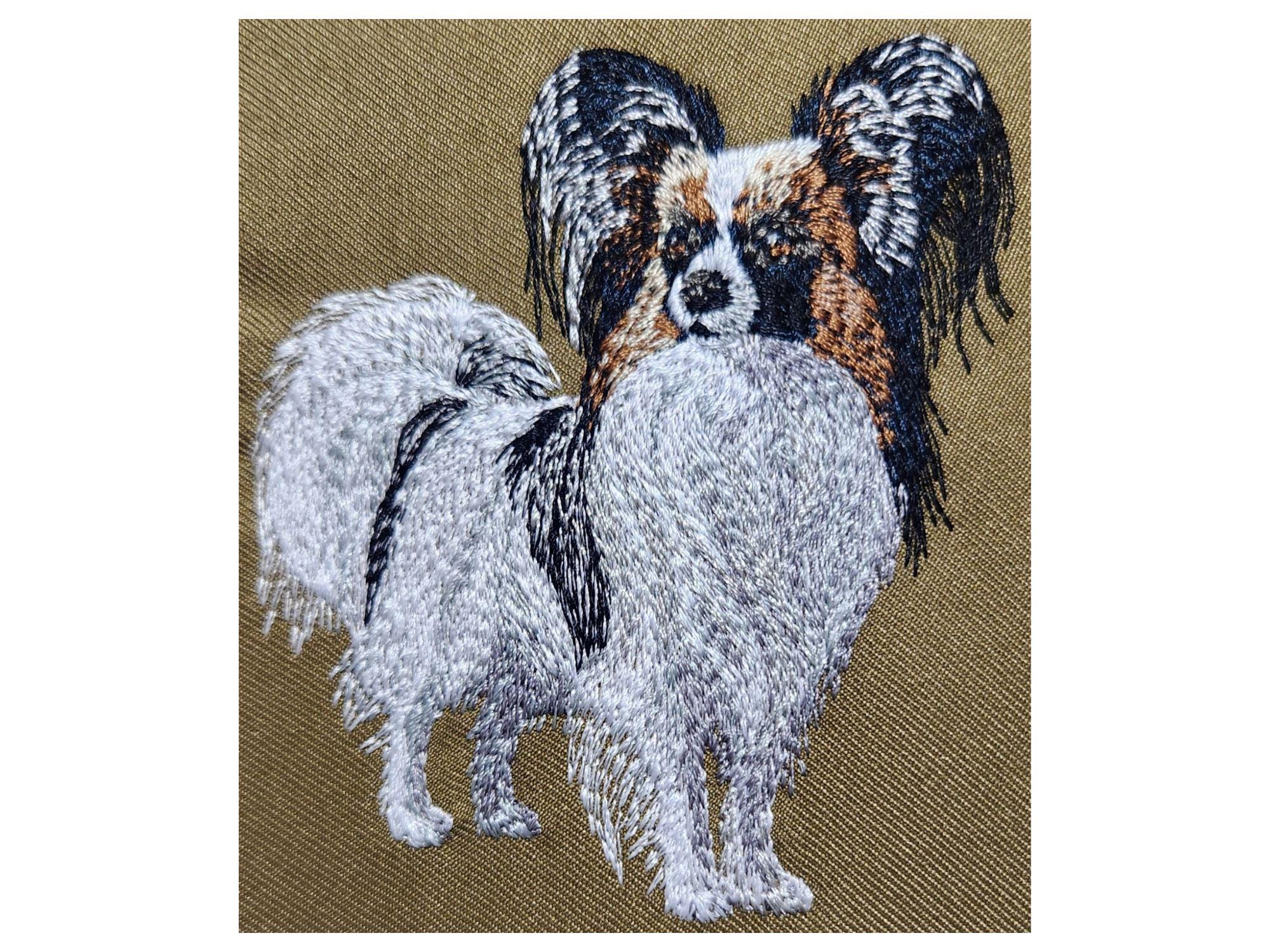 Papillon - Full Body, Fun Project, Realistic Portrait, Dog Lover, Pet ...