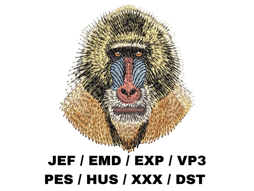 Mandrill Monkey - Wildlife Creature, Majestic Beast, Animal Crafts ...