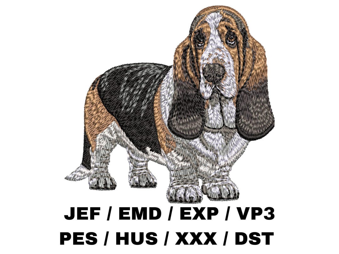 Basset Hound - Full Body, Dog Lover Gifts, Realistic Dog Portrait ...